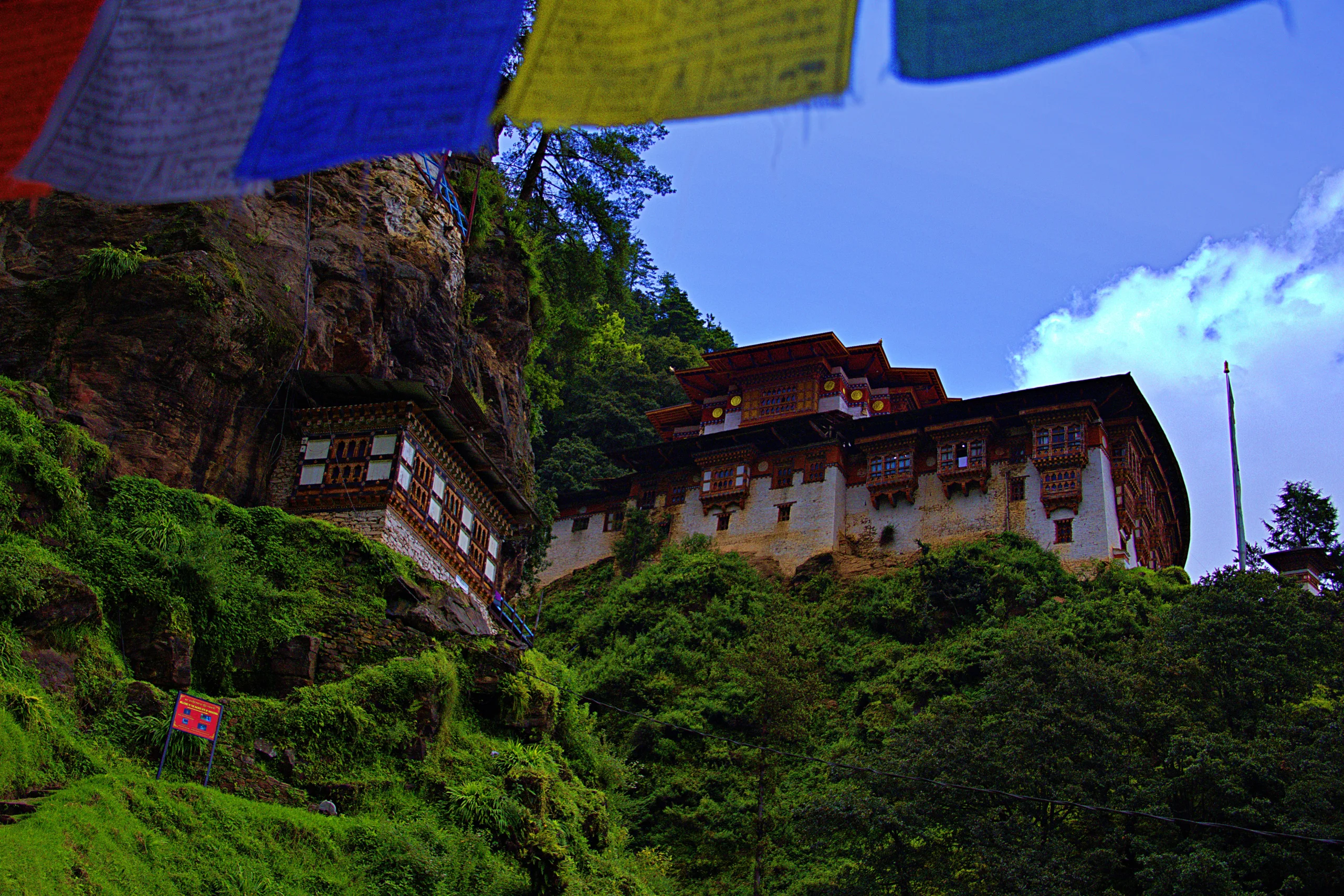 Discover the Tranquility of Tango Monastery in Bhutan