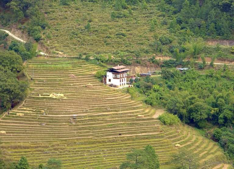 Your Complete Travel Guide from Bagdogra to Bhutan